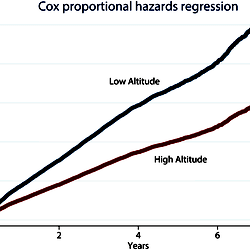 Cumulative Hazard Function.