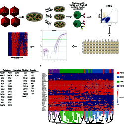 Schematic representation of the pipeline used to isolate and analyze ...