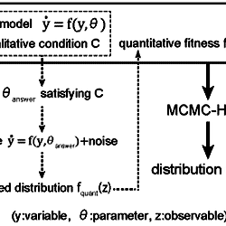 Flow chart of parameter inference.
