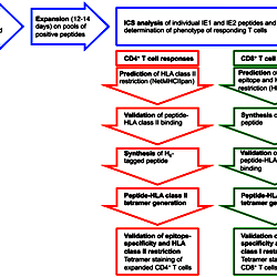 Overview of screening strategy.