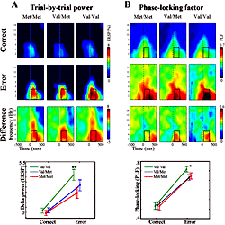 Behavioural results of the flanker task.