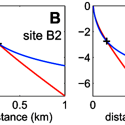 Dispersal kernels as a function of distance.