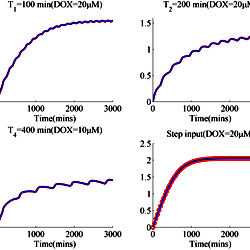 Curve fitting of unbuffered gene circuit using four types of input signals.