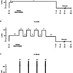 Exercise study protocols.