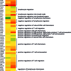 Logarithmic fold change (LogFC) values from RNA-seq of GALT lymphoid ...