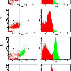Flow cytometric analysis of intracellular ROS generation in different ...