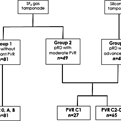 Schematic diagram of groups and PVR grades.