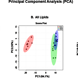 Overall statistical analysis of anthropometric, transcriptomic and ...