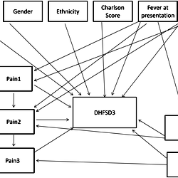Model specification for study day 3.