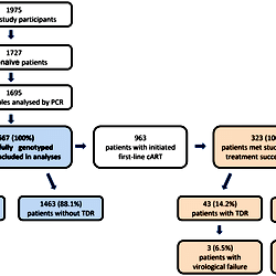 Flow chart of patient groups.