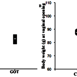 The timing of vaginal opening.