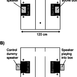 Design of laboratory test arena.