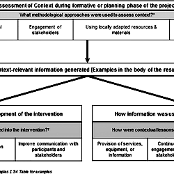 Themes identified to describe methodology or approach used to assess ...