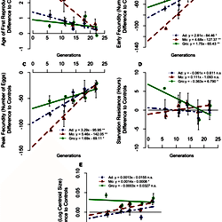 Evolutionary trajectories for the several traits analysed.