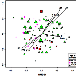 NMDS biplot of a Bray-Curtis dissimilarity matrix of T-RFLP analysis.