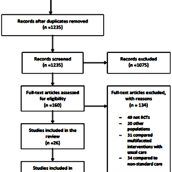 Modified PRISMA diagram.