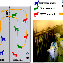 Animal facility layout and attendance management.
