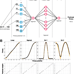 Schematic representation of a deep learning approach able to fit any ...