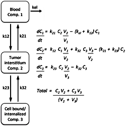 3-compartment model and equations that were employed to fit the ...