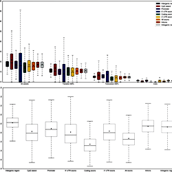 SNP and indel densities for all variant types and genomic elements ...