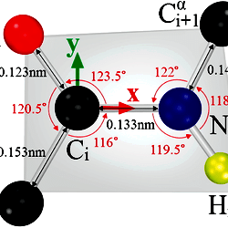 The detailed structure of the ideal peptide plane (IPP) that we use.
