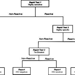 . National algorithm for HIV rapid testing.