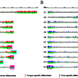 Physical genome locations of tomato (Solanum lycopersicum ...