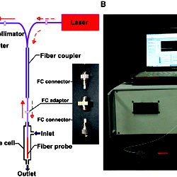 Schematic diagram (A) and prototype (B) of all-fiber biosensor.