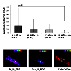 Comparison of infarct volume among treatment groups.