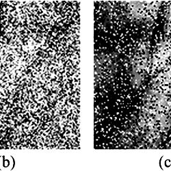 Hypercomplex extreme learning machine with its application in ...