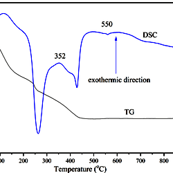 TG-DSC curves of the C/TiO2 catalyst.