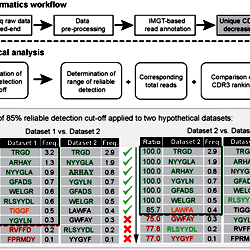 An overview of bioinformatics workflow and statistical analysis ...