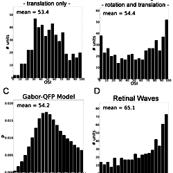 Orientation selectivity index (OSI) histograms of SFA units trained ...