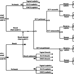 Simulation model structure.