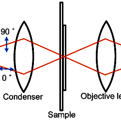 Experimental DIC setup.