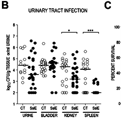 SslEIHE3034 induces cross-protection in intestinal colonization, UTI ...