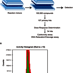 HTS process diagram and outcomes.