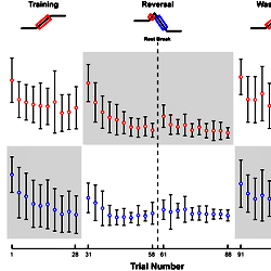 Reduction of error between recorded and optimal motor patterns.