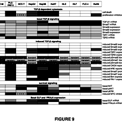 Overview of basal expression levels and TGF-β response in 10 different ...