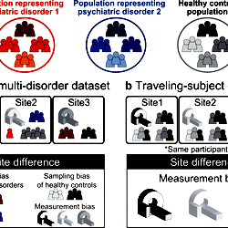 Schematic examples illustrating the two main datasets.