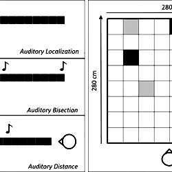 Representative description of five out of six tasks included in the BSP ...