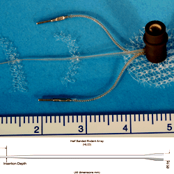 Electrode array assembly.