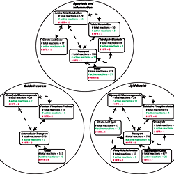 HFRs for all the phenotypes.