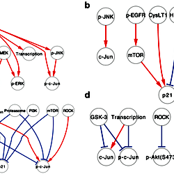Comparison of signaling network among three cancer cell lines.