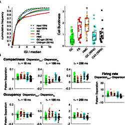 Levels of pattern separation and convergence through burstiness and ...