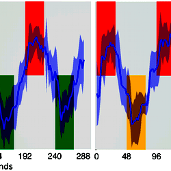 The blue lines show the time courses of the mean output over all ...