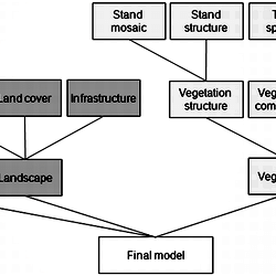 Hierarchical model selection process with arrows indicating the modelling steps: the variables ...