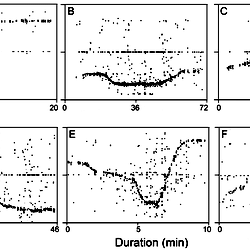 Types of trajectory.