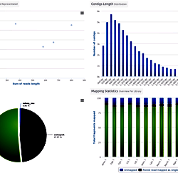 Contigs overview figures.