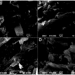 Scanning electron microscope (SEM) images of tooth enamel.